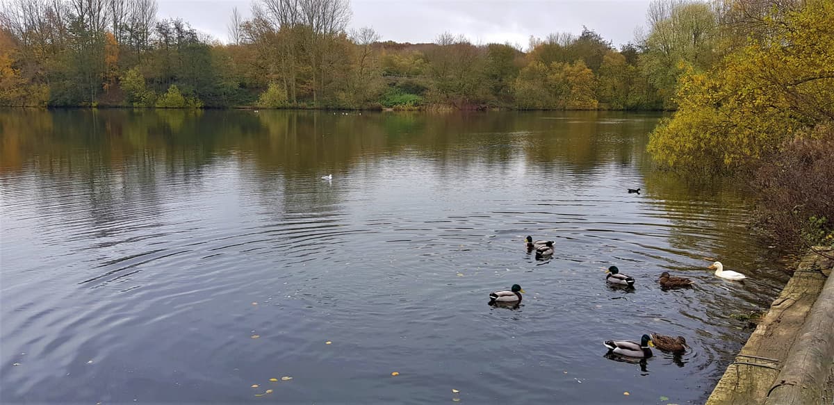 Ryton Pools Country Park Easter Trail
